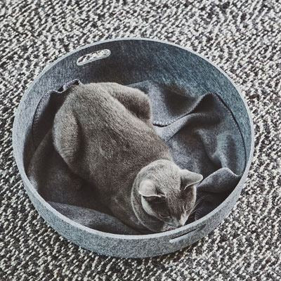 Modern Cat Collars - 2Modern