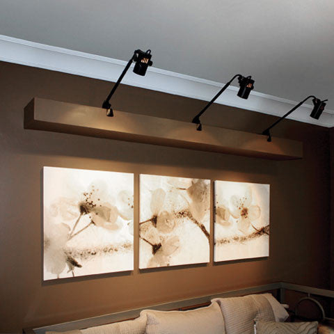 WAC Lighting Picture and Display Lighting - 2Modern