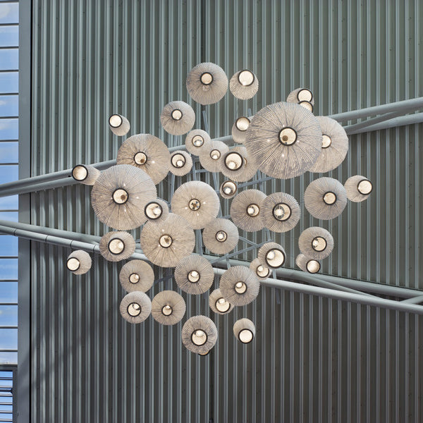 a-emotional light Coral Multi-Light Pendant Light - 2Modern