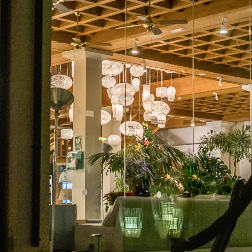 a-emotional light Coral Reef Pendant Light - 2Modern