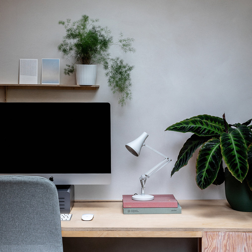 Anglepoise 90 Mini Mini Desk Lamp - 2Modern