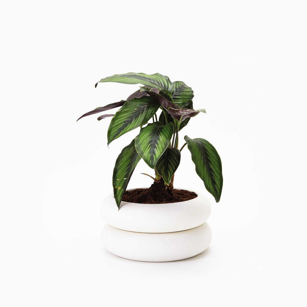 Areaware Stacking Planter - 2Modern