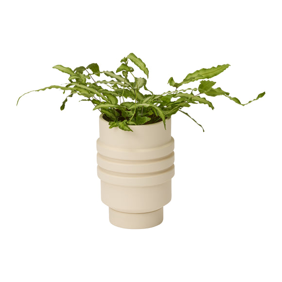 Areaware Strata Plant Vessel - 2Modern