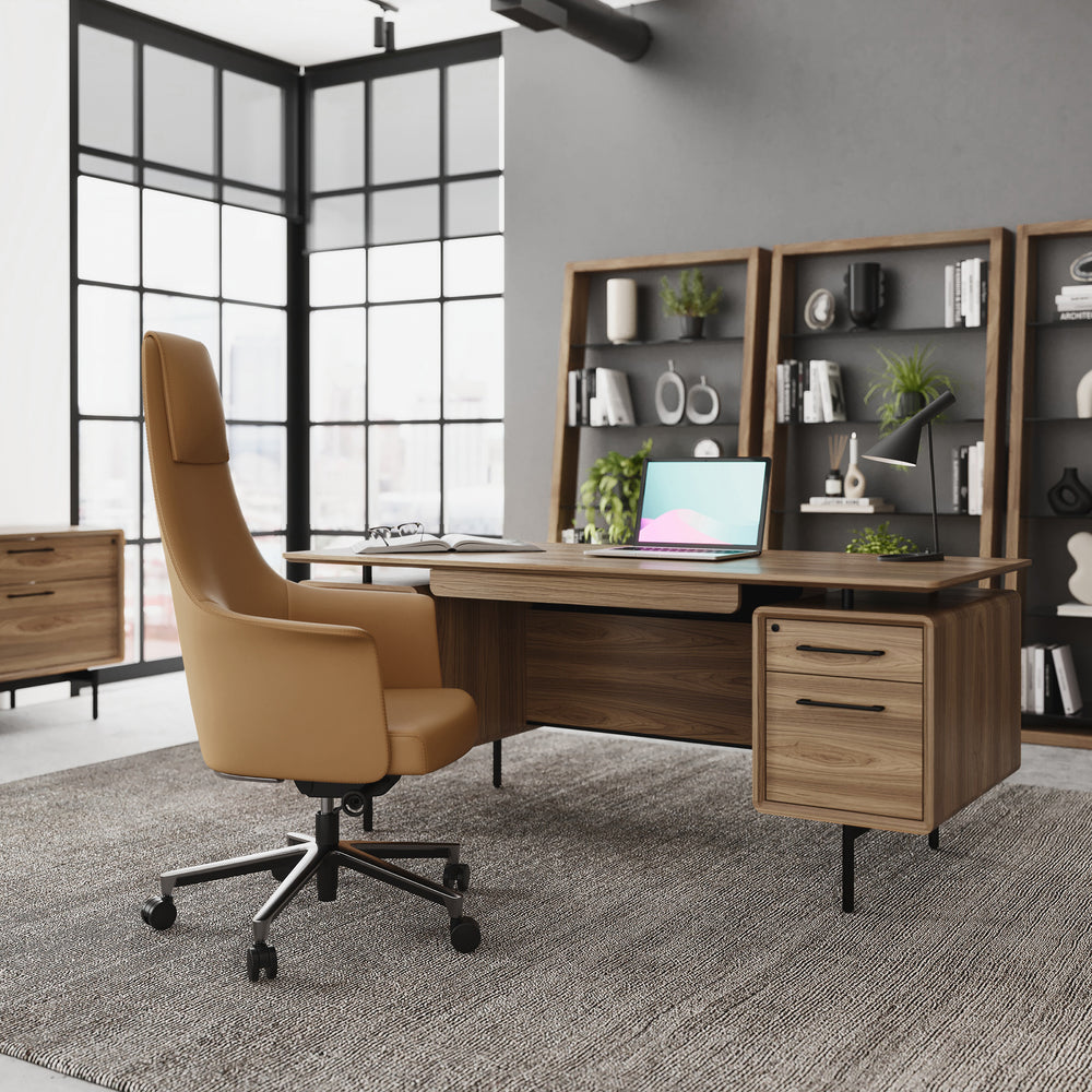 BDI LINQ Office Executive Desk - 2Modern