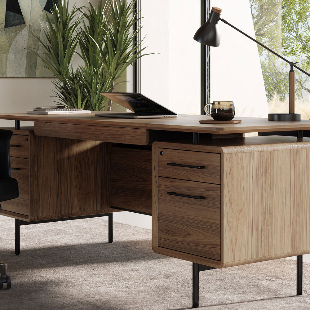 BDI LINQ Office Executive Desk - 2Modern