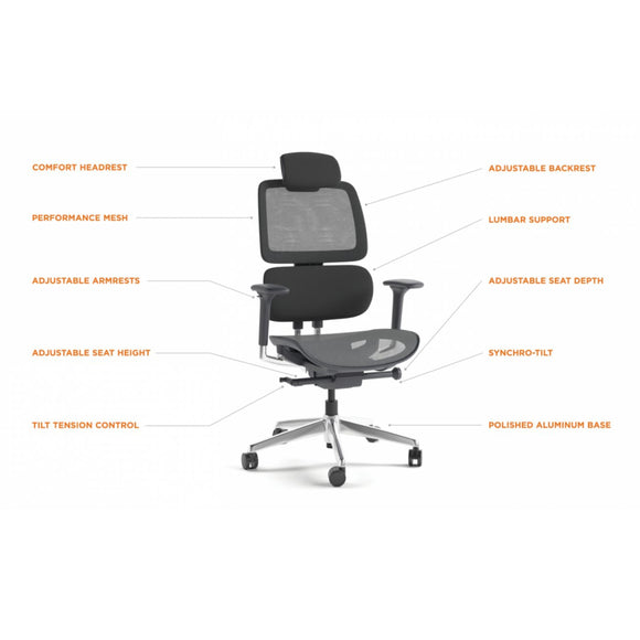 BDI Voca Office Chair - 2Modern