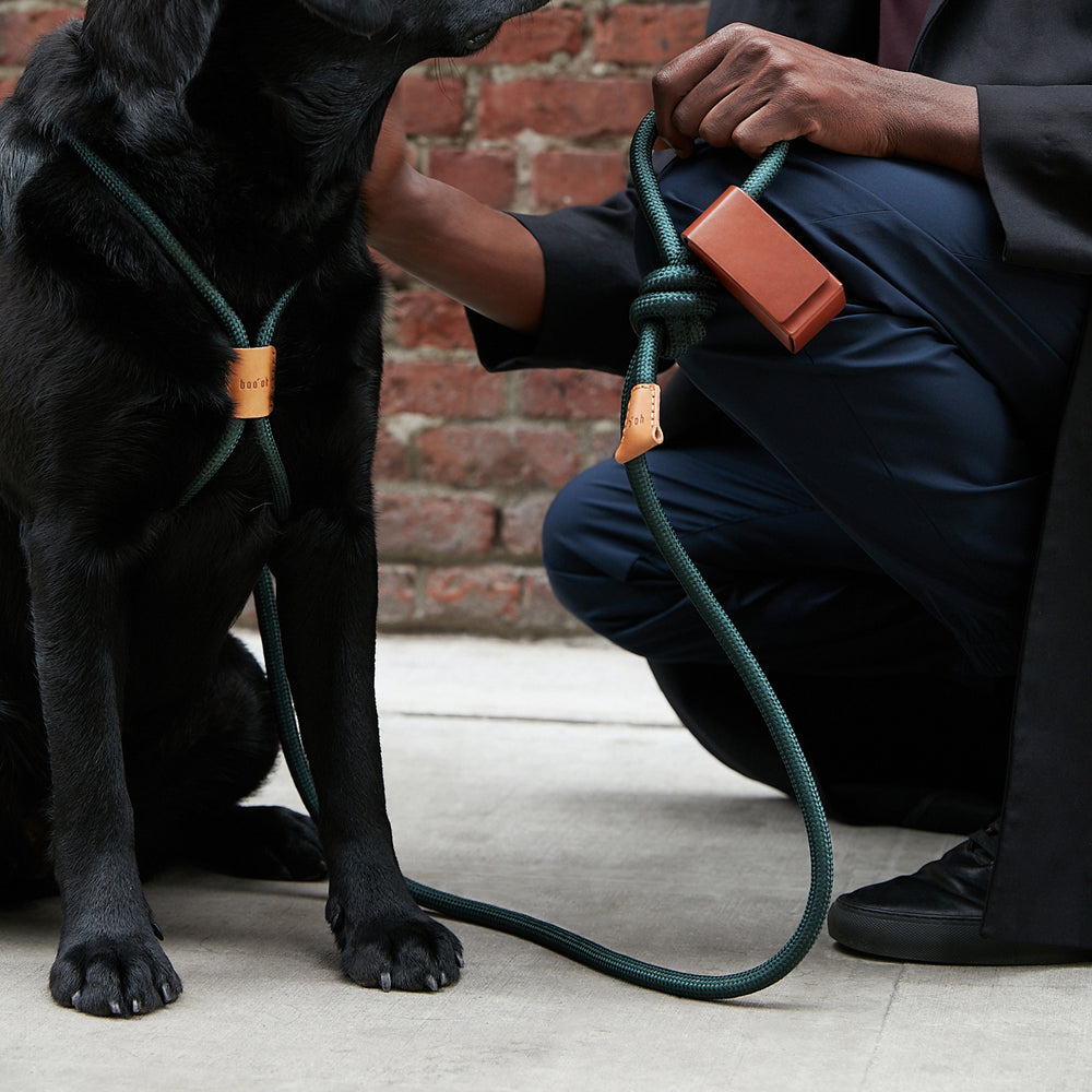 Boo'Oh Pets Ray All-in-One Leash and Harness Set - 2Modern