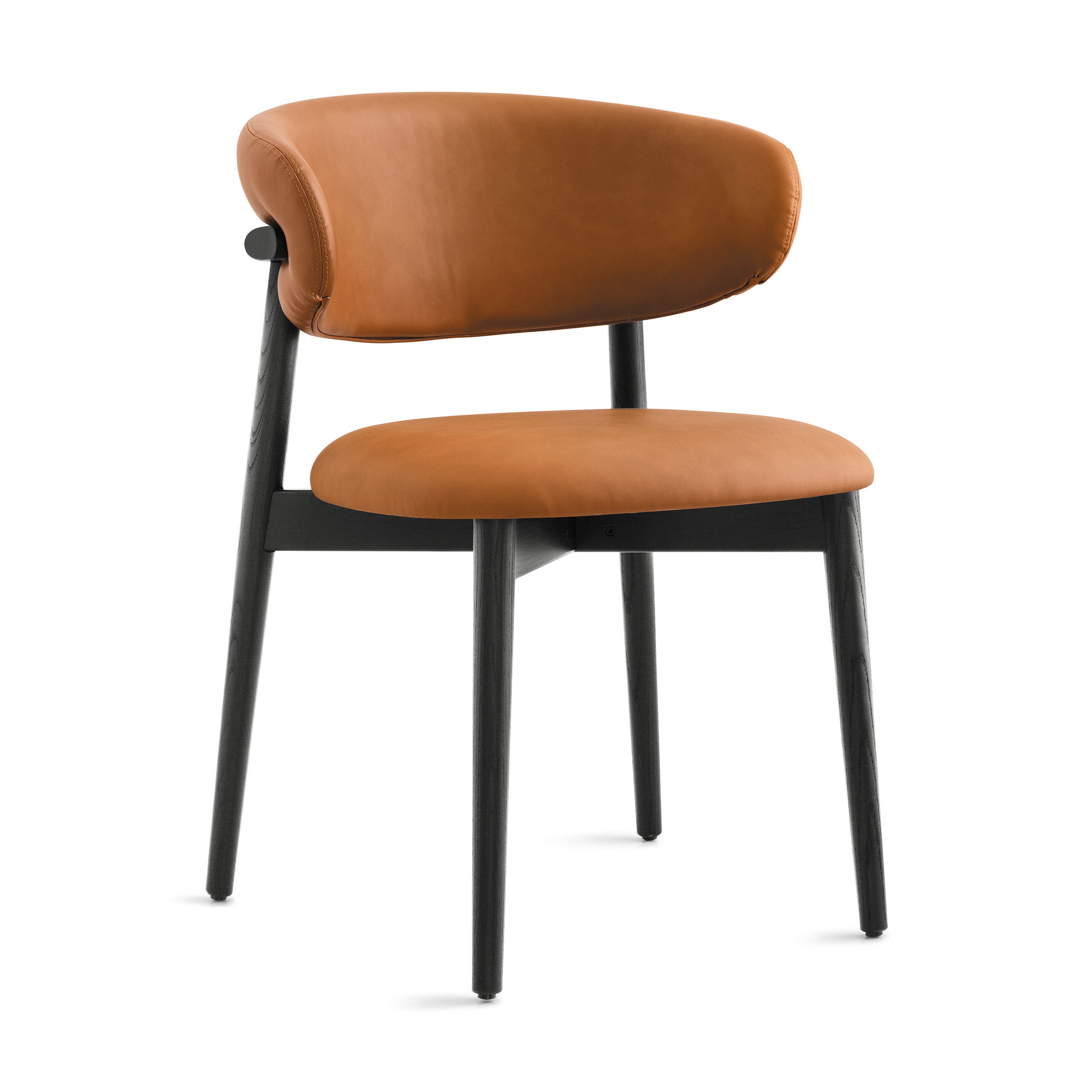 Calligaris Oleandro Chair with Wood Base - 2Modern
