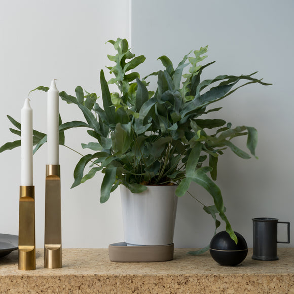 Case Furniture Sip Plant Pot - 2Modern