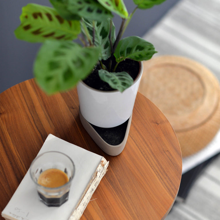 Case Furniture Sip Plant Pot - 2Modern