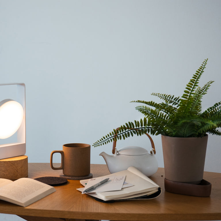 Case Furniture Sip Plant Pot - 2Modern