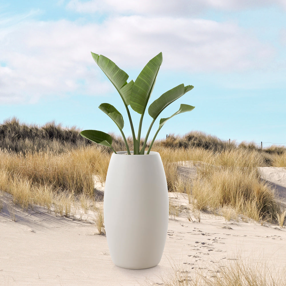 Diabla Gobi Planter 2 - 2Modern