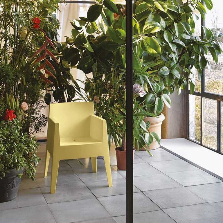 Driade Toy Armchair (Set of 4) - 2Modern