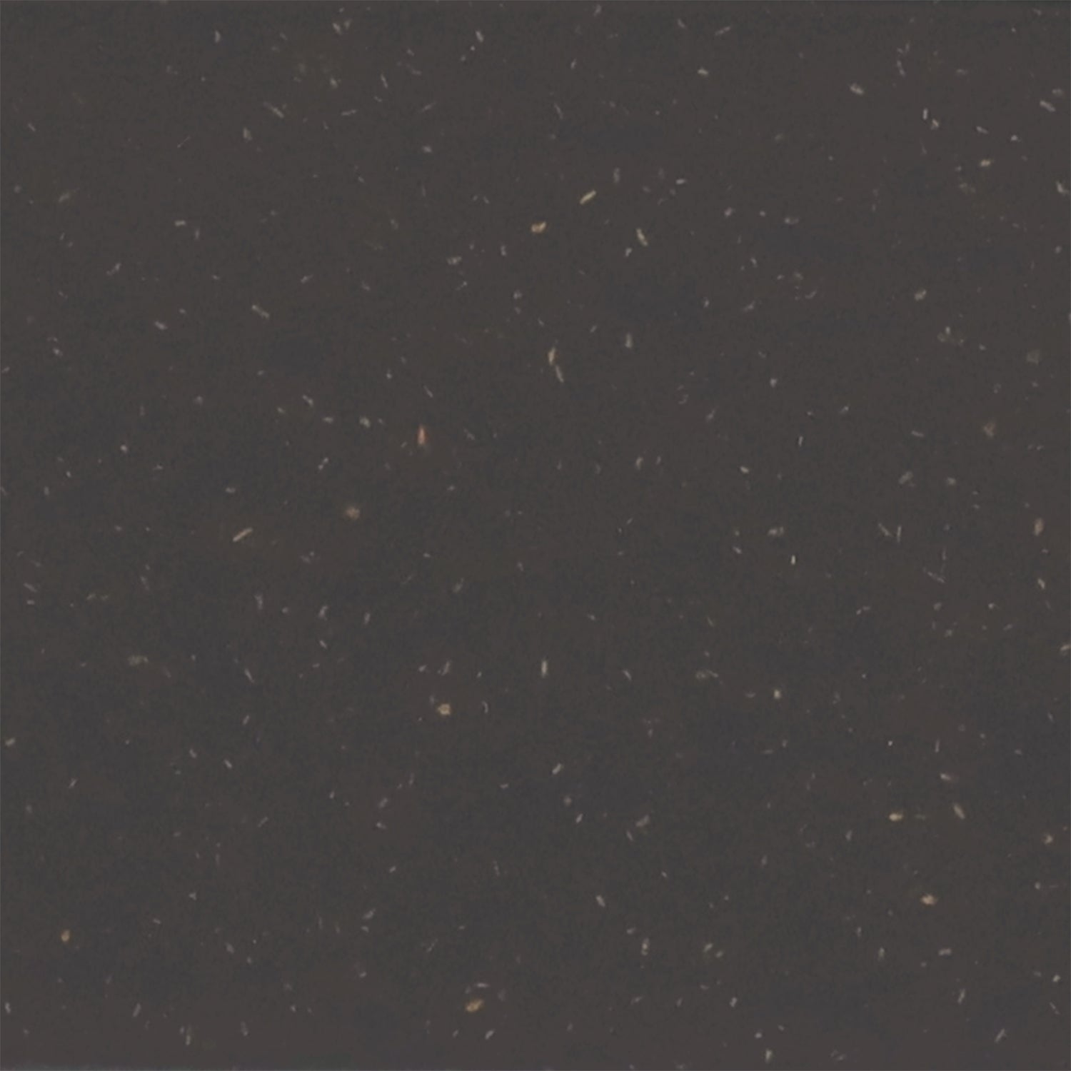 Emeco Alfi Low Back Stool - 2Modern