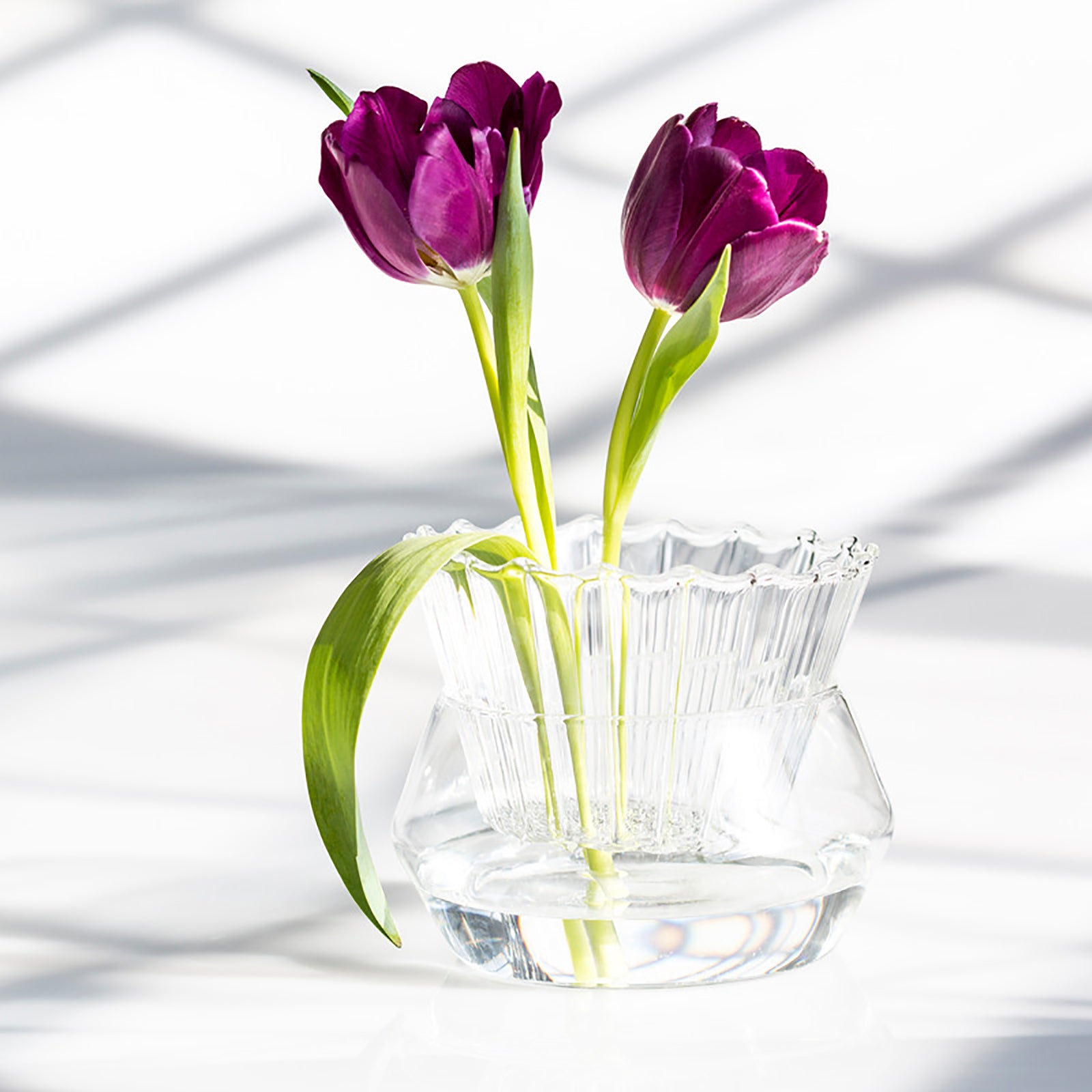 Fferrone Splash Vase - 2Modern