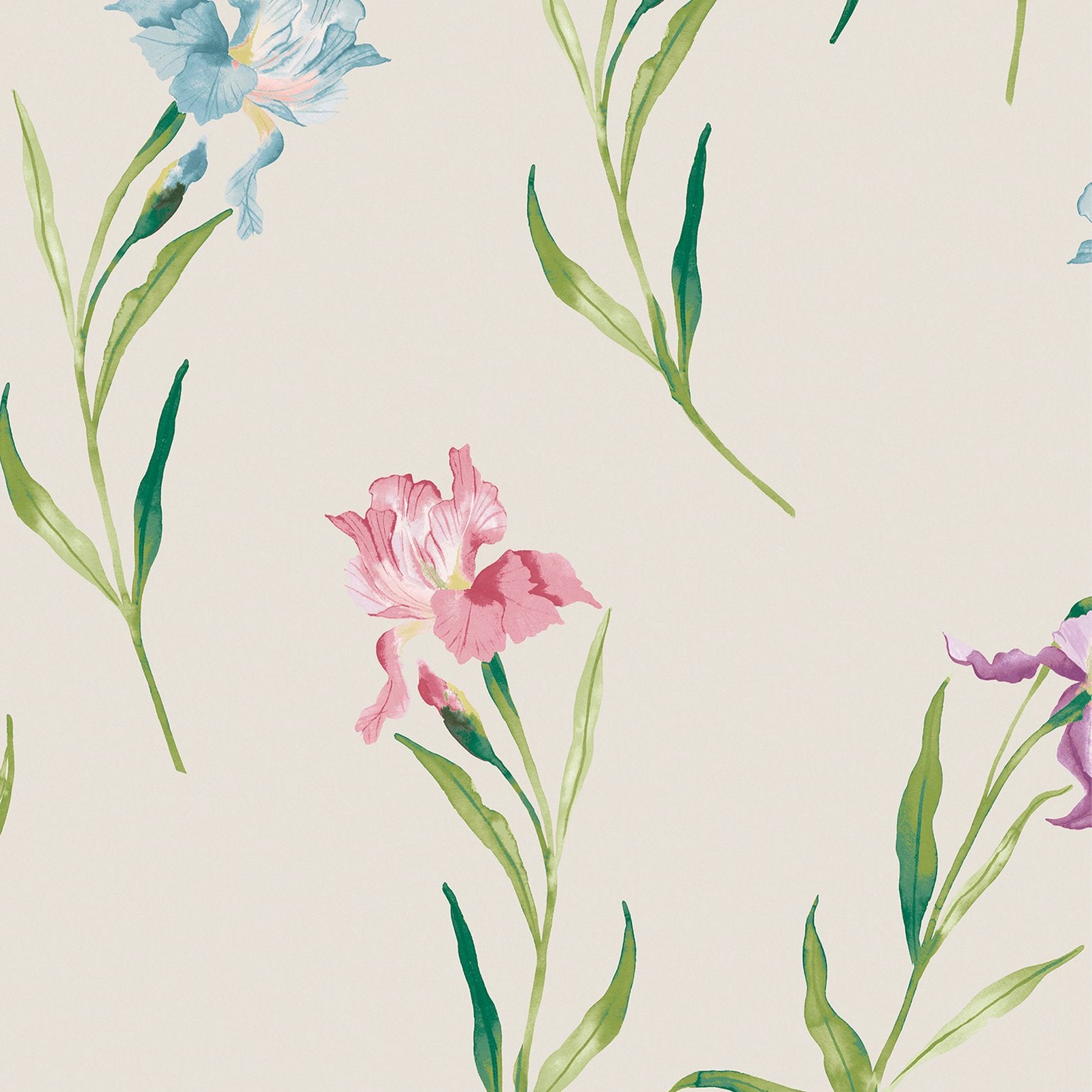 Graham & Brown Hawling Irises Wallpaper Sample Swatch - 2Modern