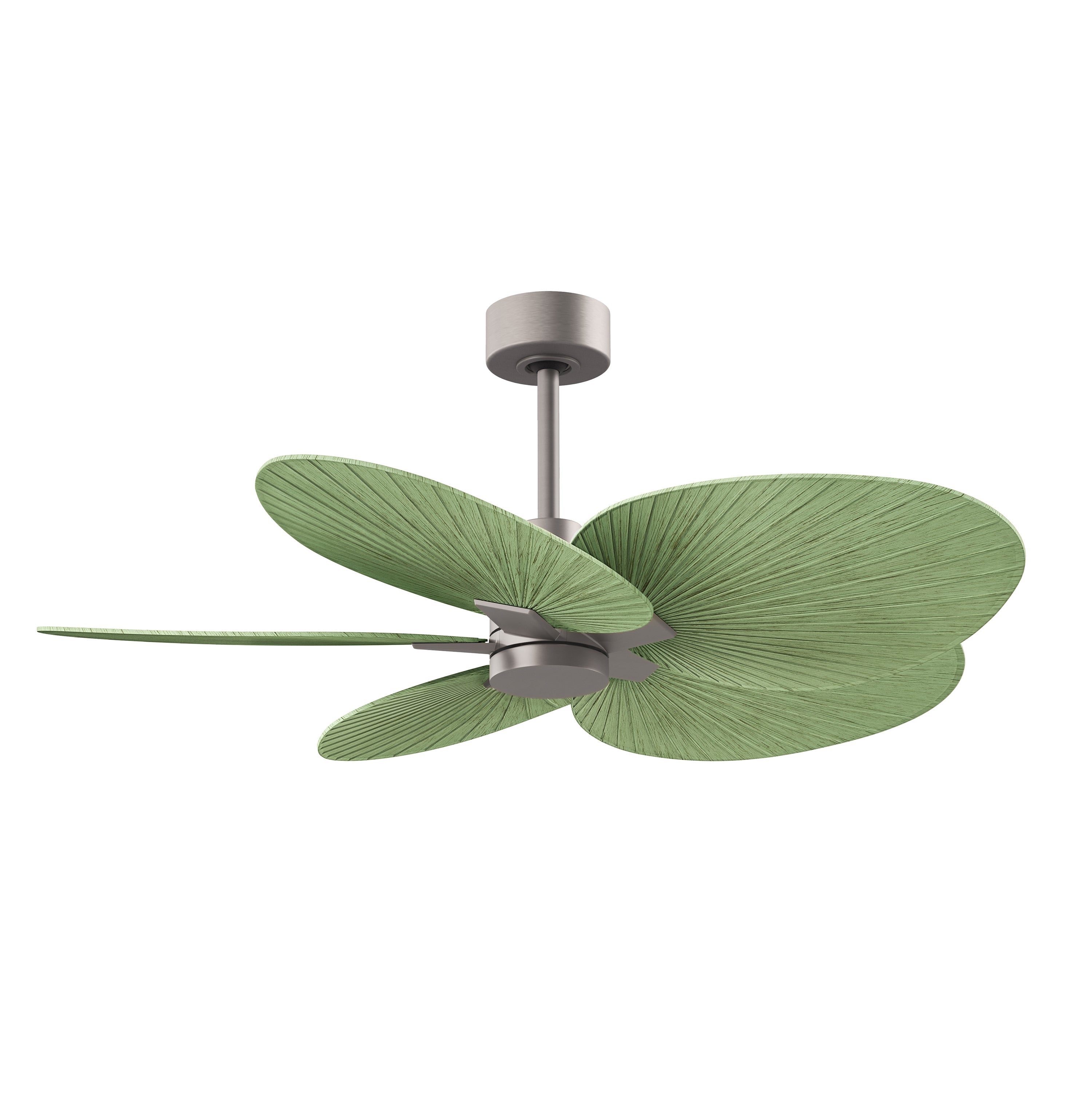 Matthews Fan Company Alessandra Tropical Outdoor Ceiling Fan - 2Modern
