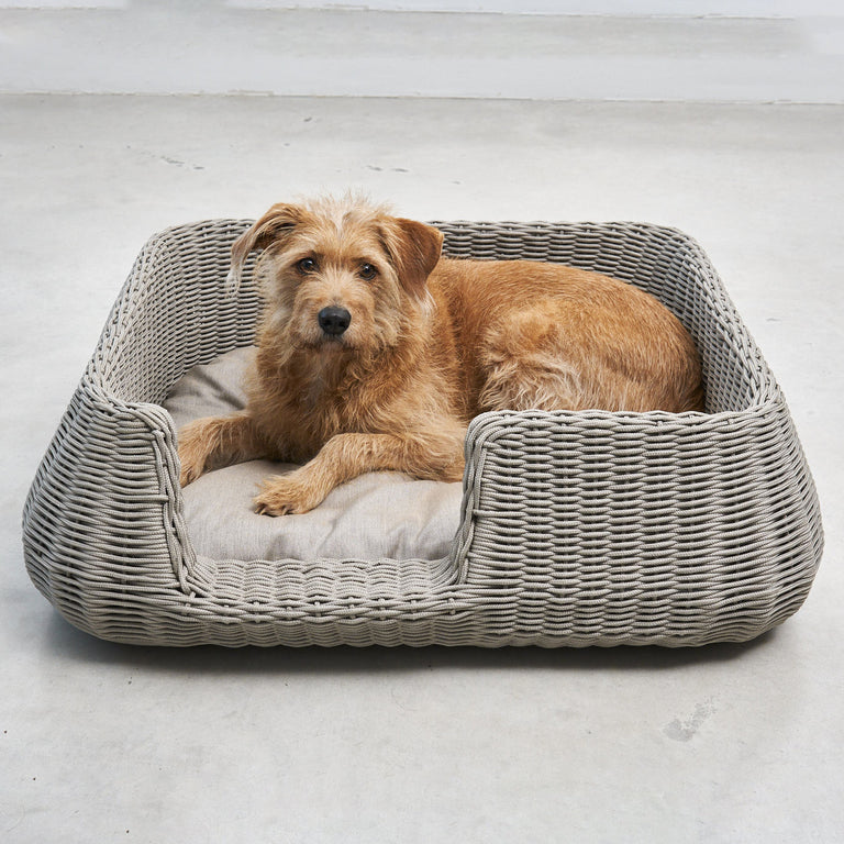 MiaCara Mio Dog Basket - 2Modern