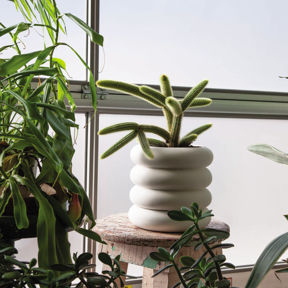 Areaware Stacking Planter - 2Modern