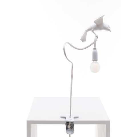 Modern Clamp & Shelf Lamps - 2Modern