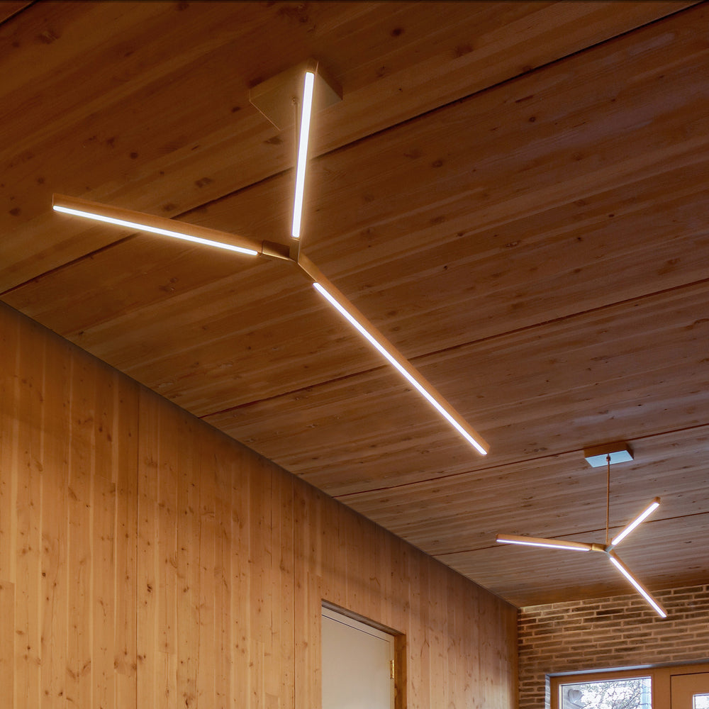 Stickbulb Bough Pendant Light - 2Modern