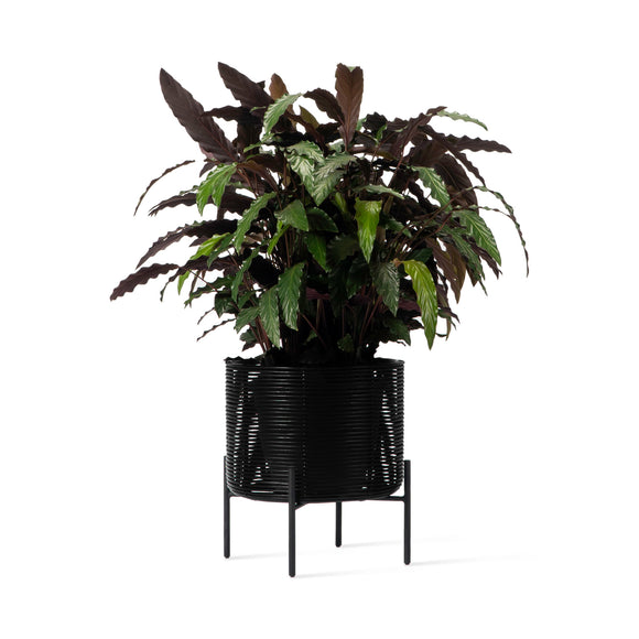 Vincent Sheppard Ivo Outdoor Plant Stand - 2Modern