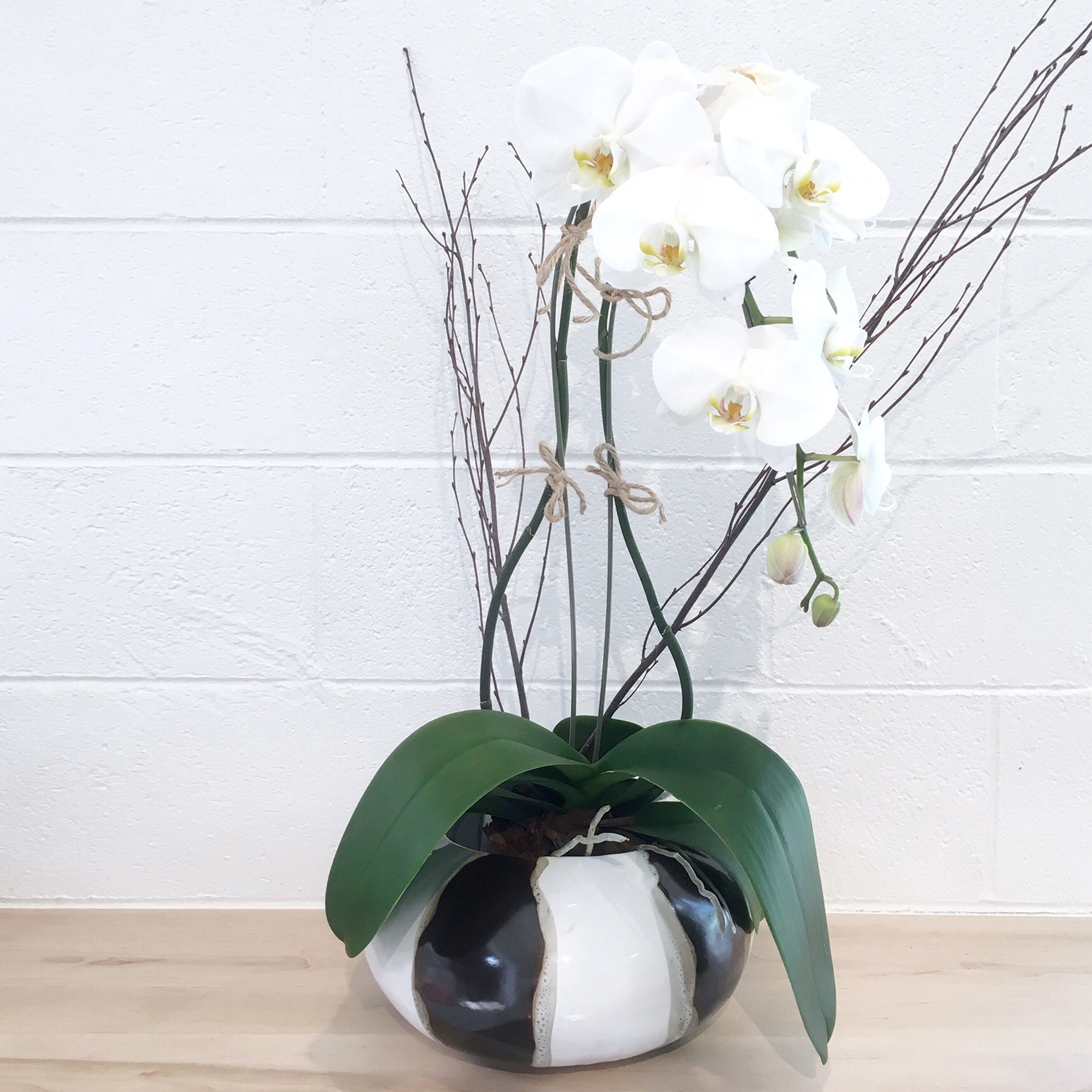 Alex Marshall Studios Sphere Planter - 2Modern