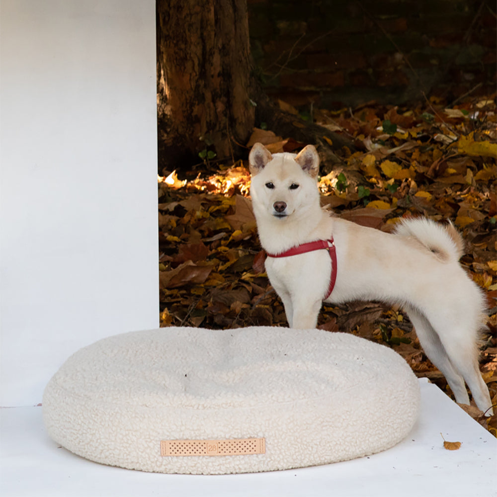 2.8 Design for Dogs Fulvio Dog Cushion - 2Modern
