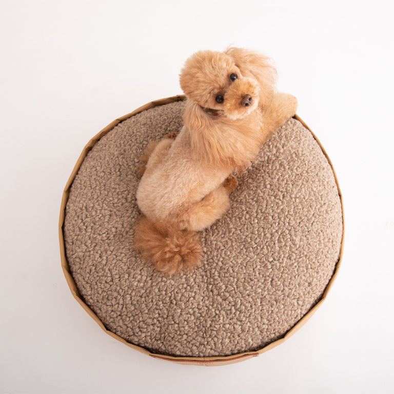 2.8 Design for Dogs Irving Dog Cushion - 2Modern