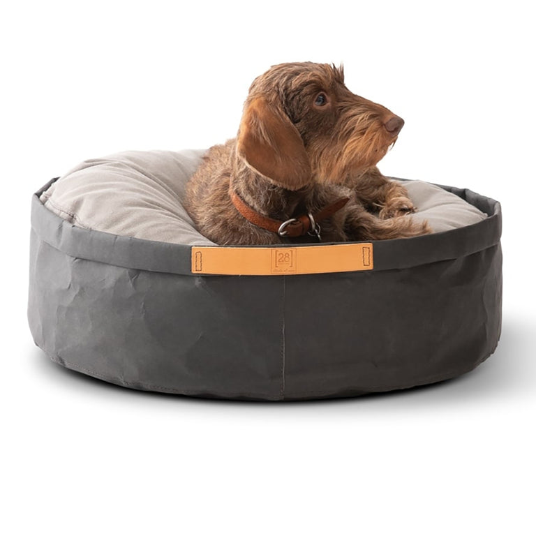 2.8 Design for Dogs Irving Dog Cushion - 2Modern