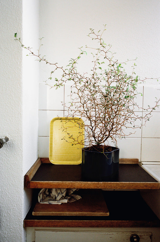 Artek Riihitie Plant Pot Shape B - 2Modern