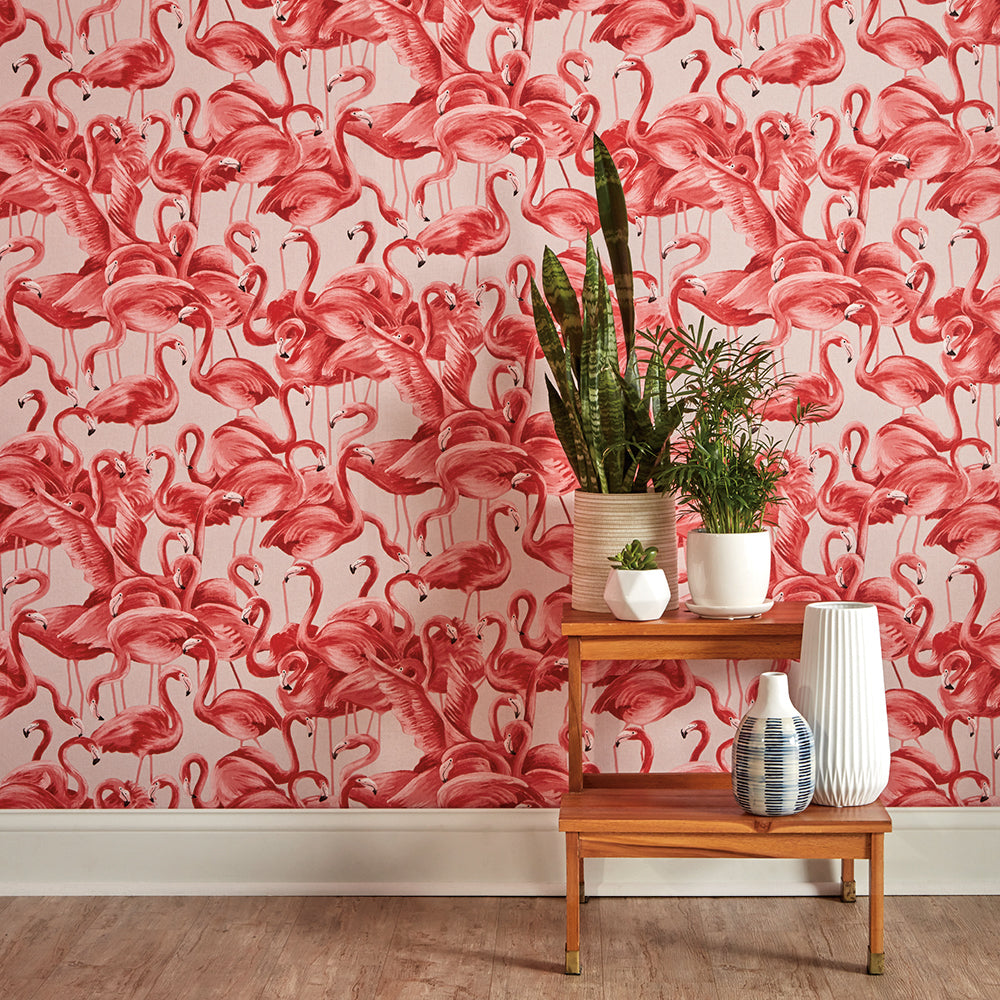 Tempaper & Co Flamingo 5.5 yds. Wallpaper - 2Modern