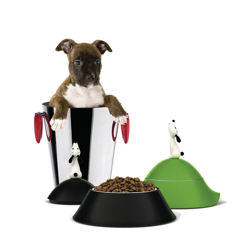 Alessi Lula Dog Bowl - 2Modern