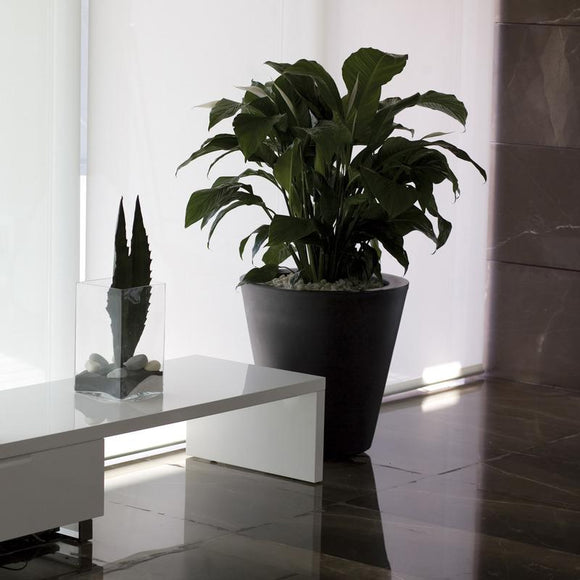 Vondom High Cone Planter - 2Modern