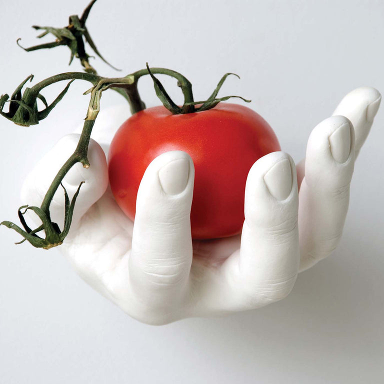 Areaware Hand Hook - 2Modern