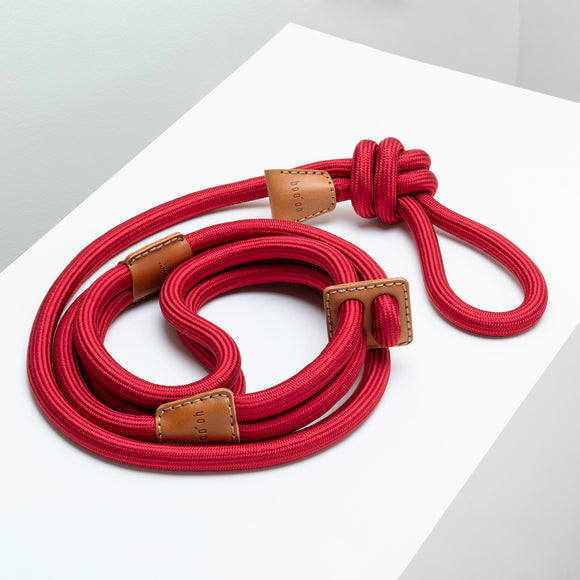 Boo'Oh Pets Ray All-in-One Leash and Harness Set - 2Modern