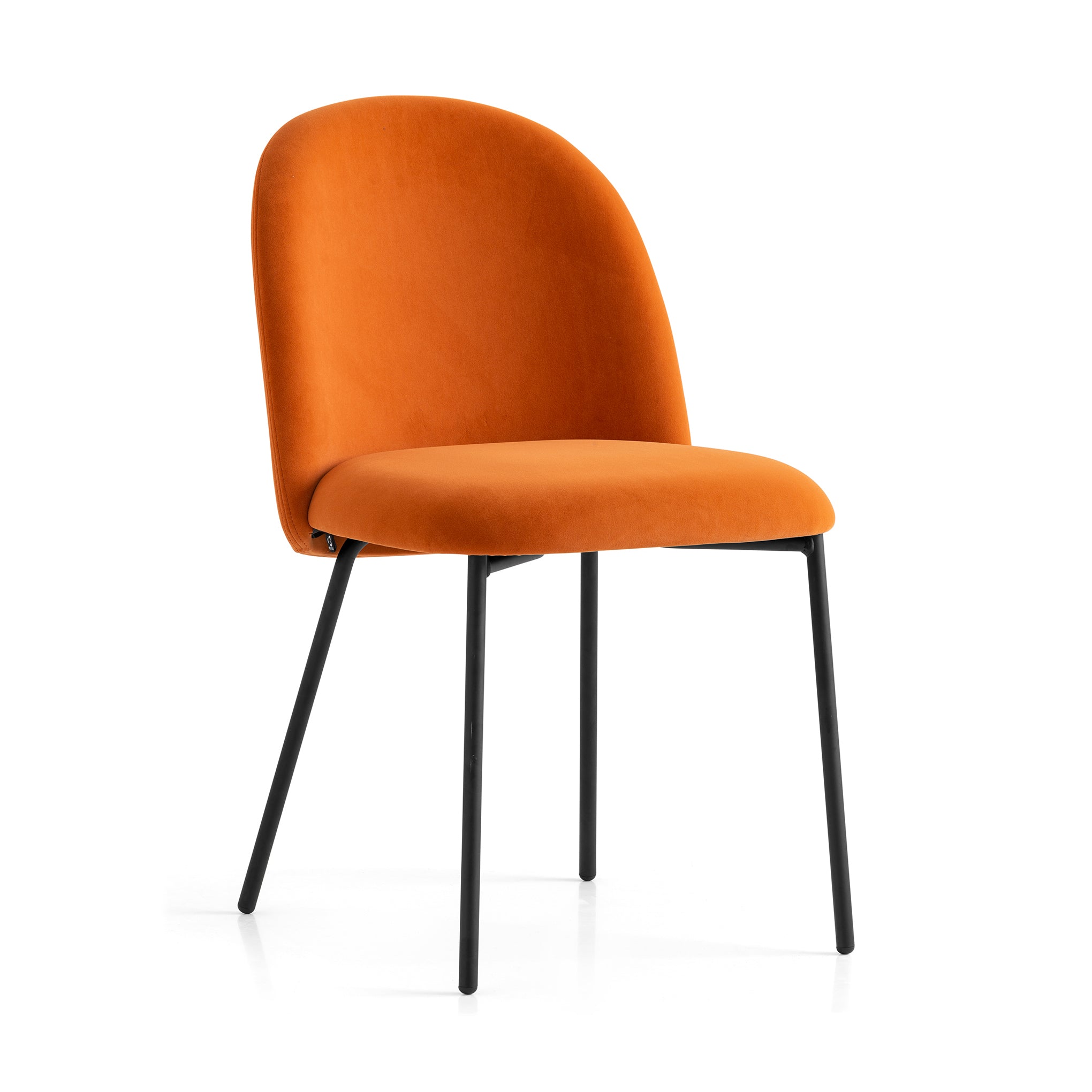 Connubia Tuka Chair - 2Modern