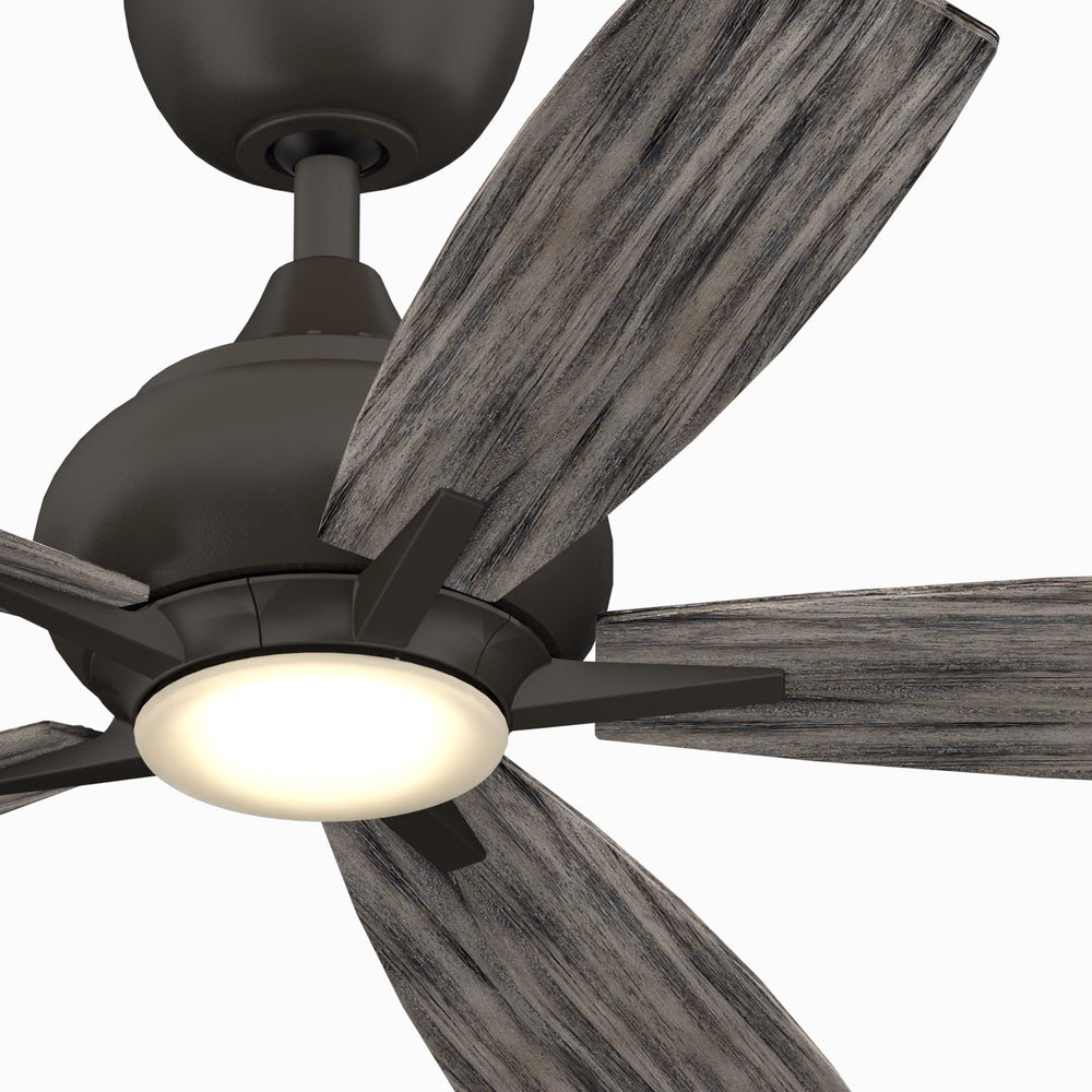 Fanimation Doren Ceiling Fan with Light - 2Modern