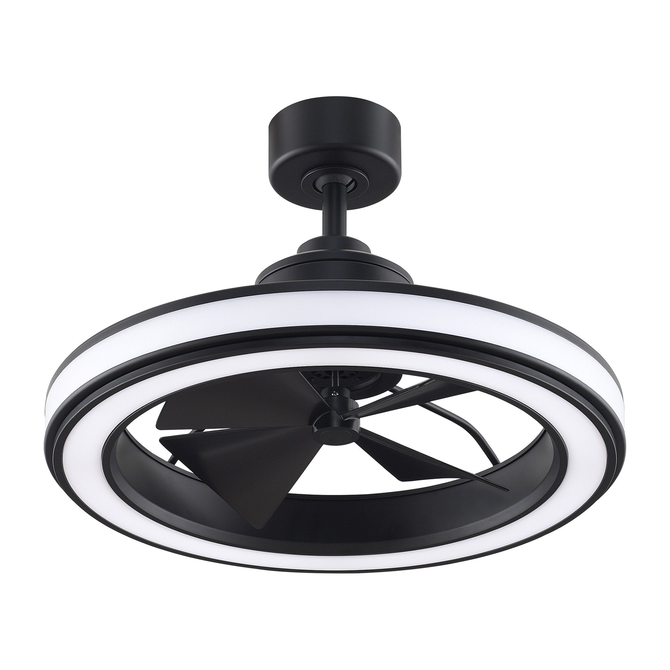Fanimation Gleam Ceiling Fan with Light - 2Modern