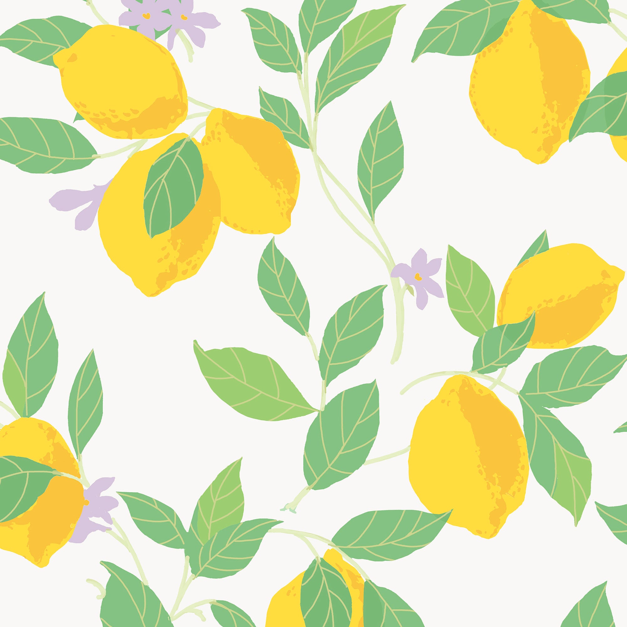 Graham & Brown Feeling Fruity Wallpaper - 2Modern