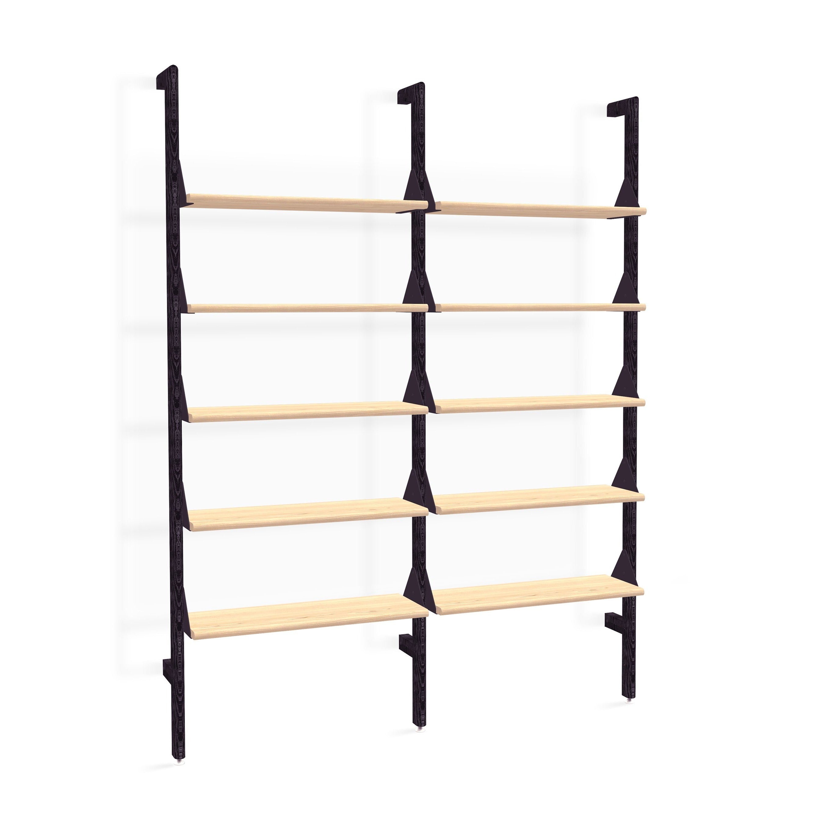 Gus Branch-2 Shelving Unit - 2Modern
