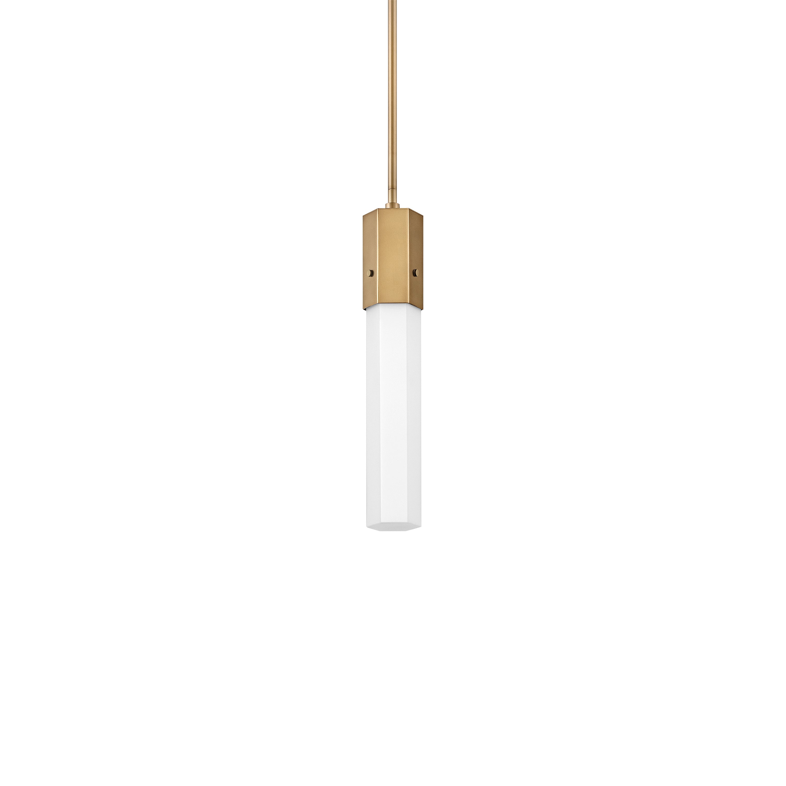 Hinkley Facet Pendant Light - 2Modern