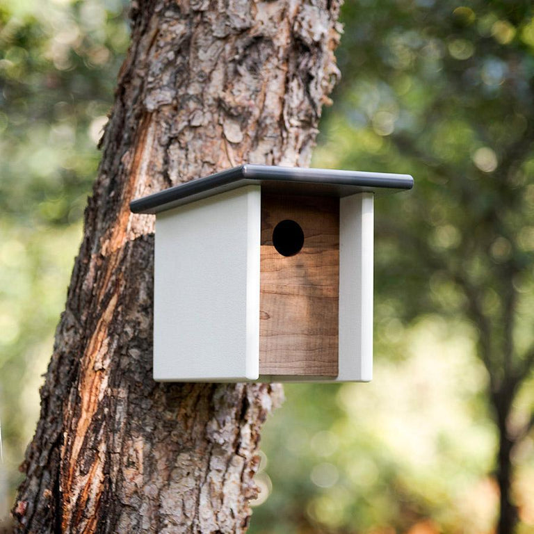 Loll Designs Arbor Birdhouse - 2Modern