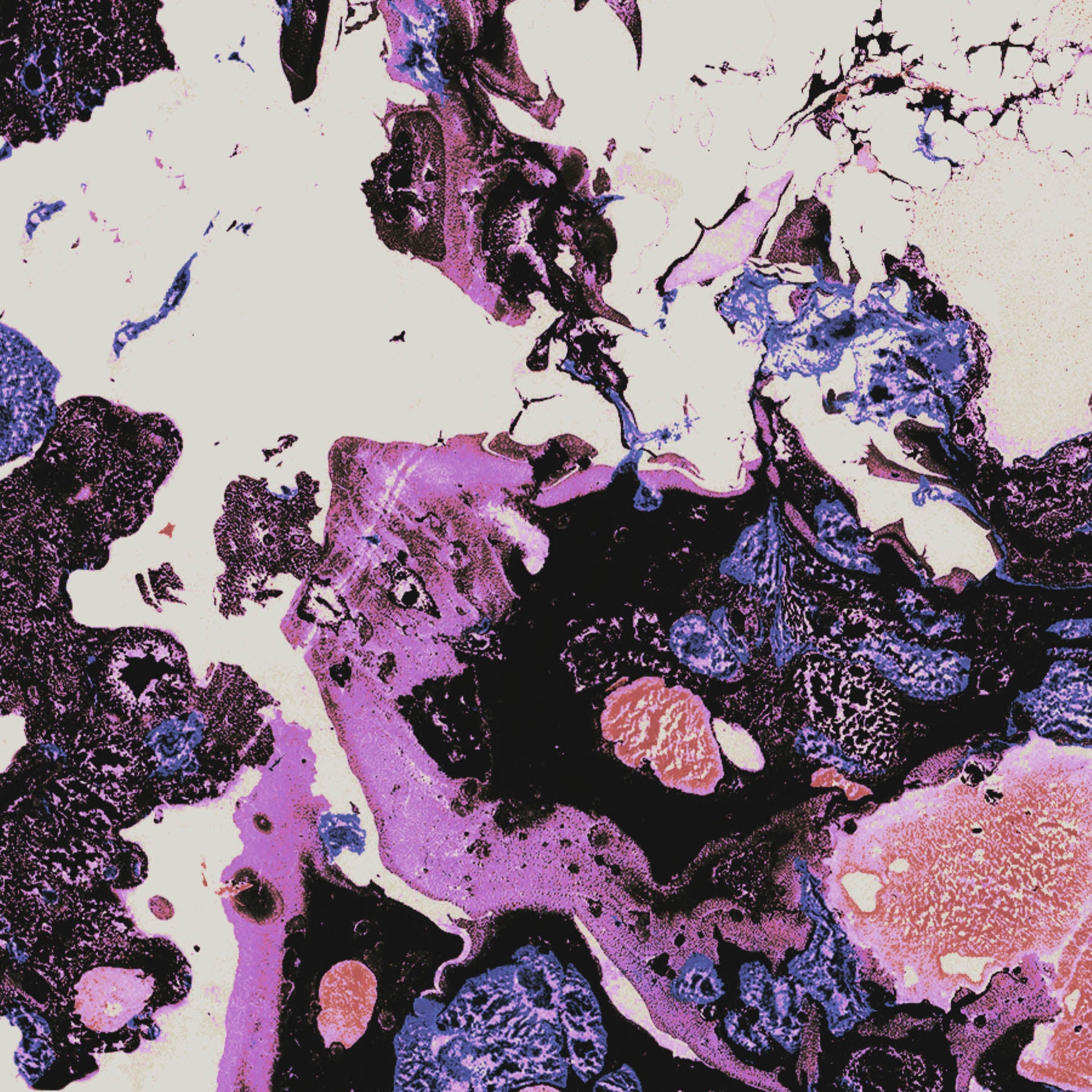 Merenda Wallpaper Marbre Wallpaper - 2Modern