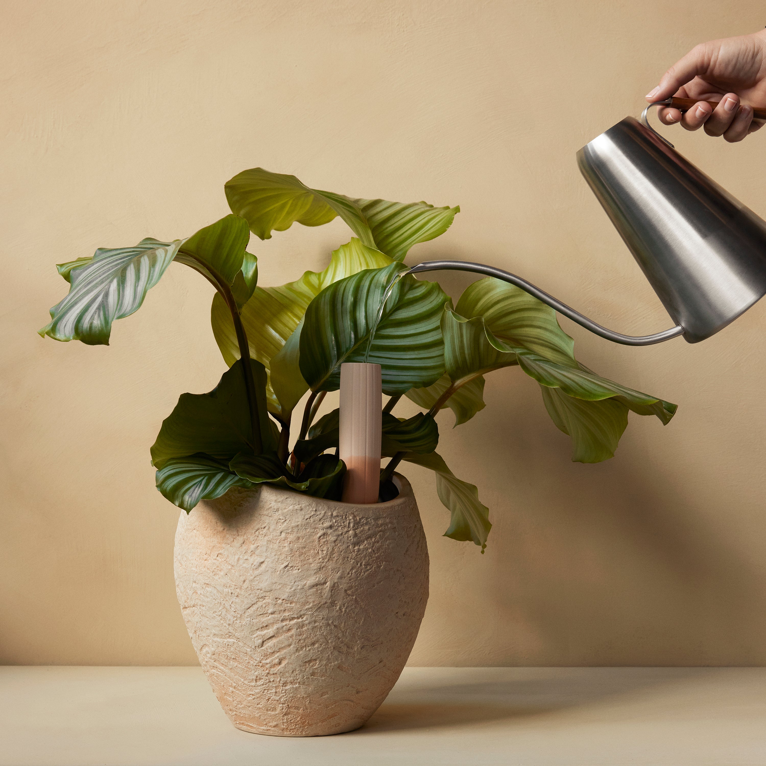 Audo Copenhagen Hydrous Watering Stick (Set of 4) by Menu Design now ...