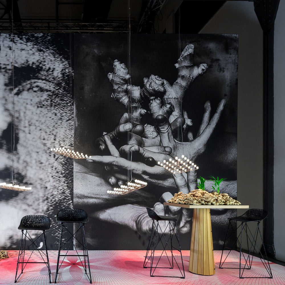 Moooi Carbon Bar Stool - 2Modern