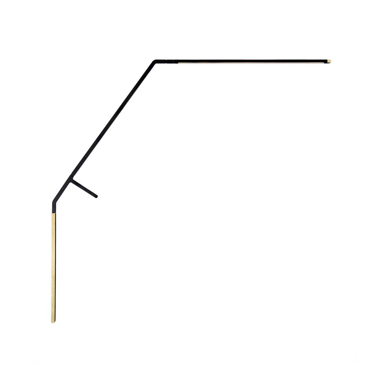 NEMO Bird Table Lamp - 2Modern