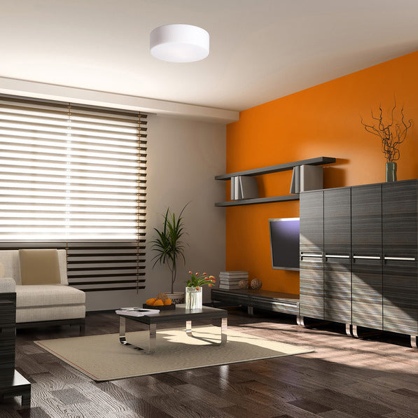 NEMO Tango Wall or Ceiling Light - 2Modern