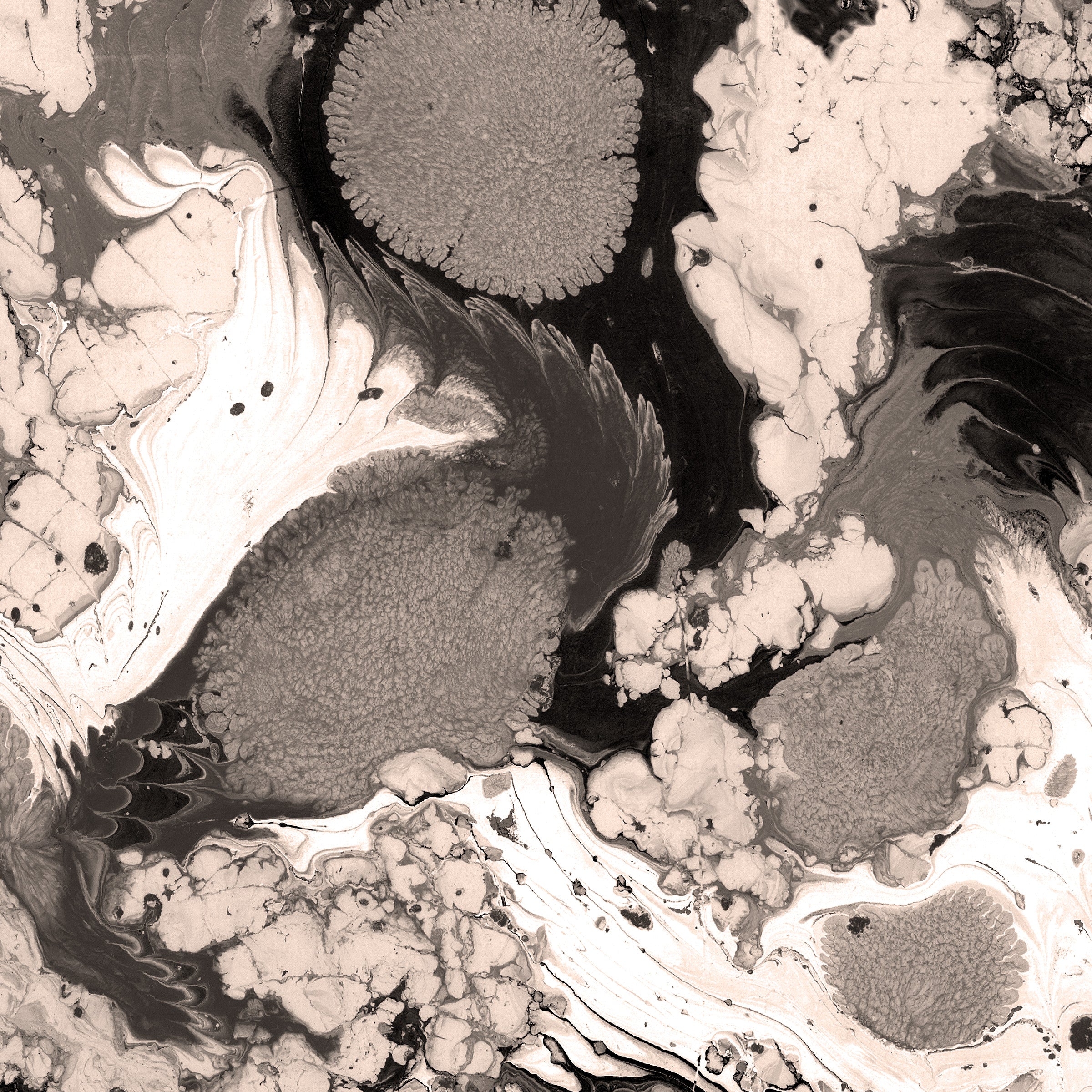 Merenda Wallpaper Plunge Wallpaper - 2Modern