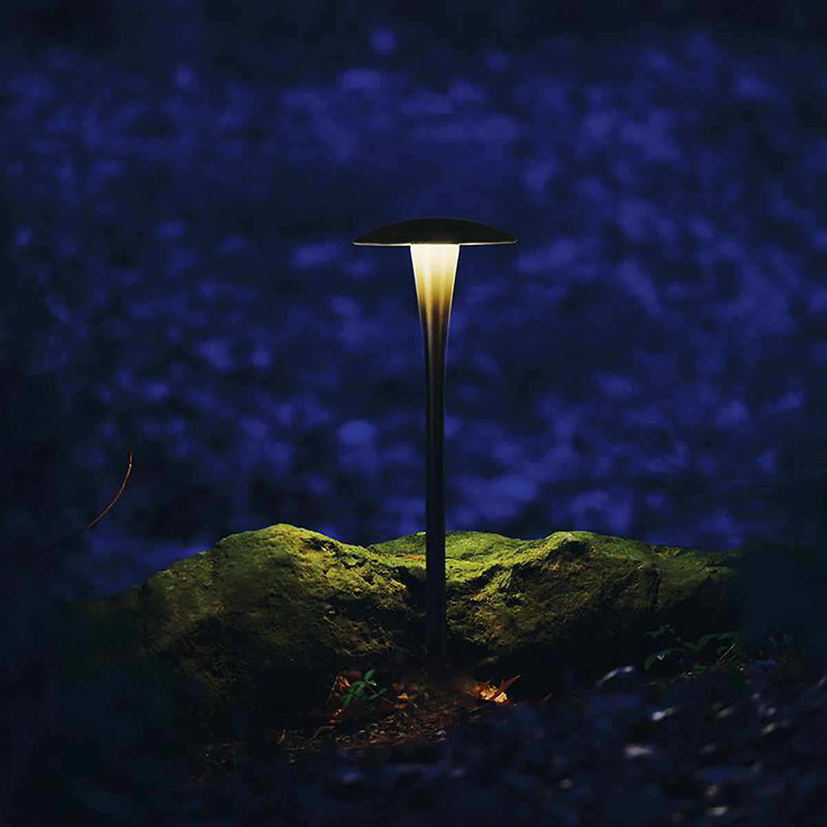 WAC Lighting 12V Area Path Light - 2Modern